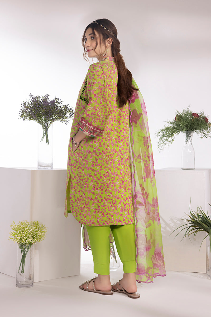 Kelly – Rang Rasiya